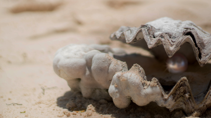 Pearl Diving in the UAE – History and Heritage | Online-Magazin